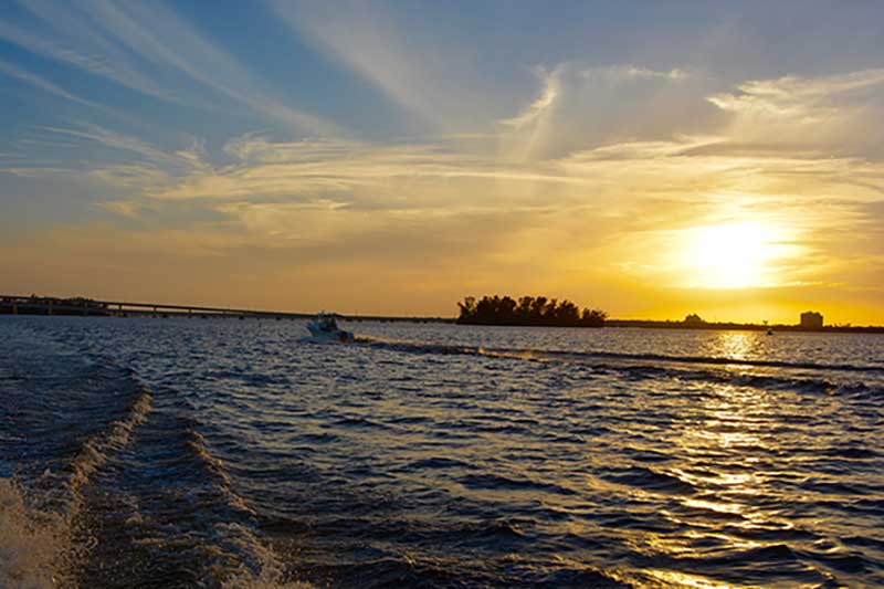 Double Sunshine | Pure Florida