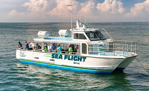 Pure Florida | Naples, Ft Myers Cruises, JetSki, Fishing, Boat Rentals